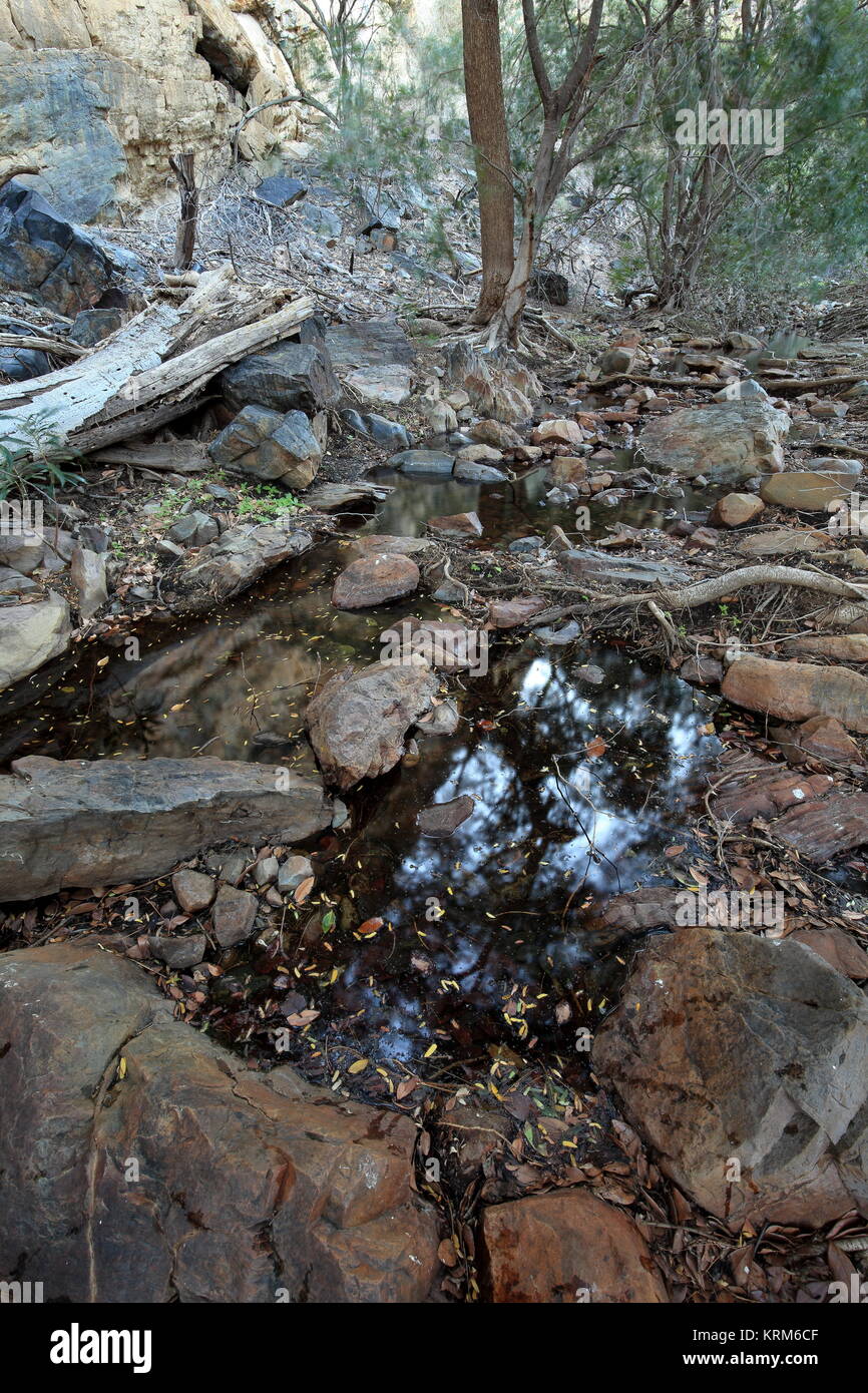 the landscape of the caatinga in brazil Stock Photo - Alamy