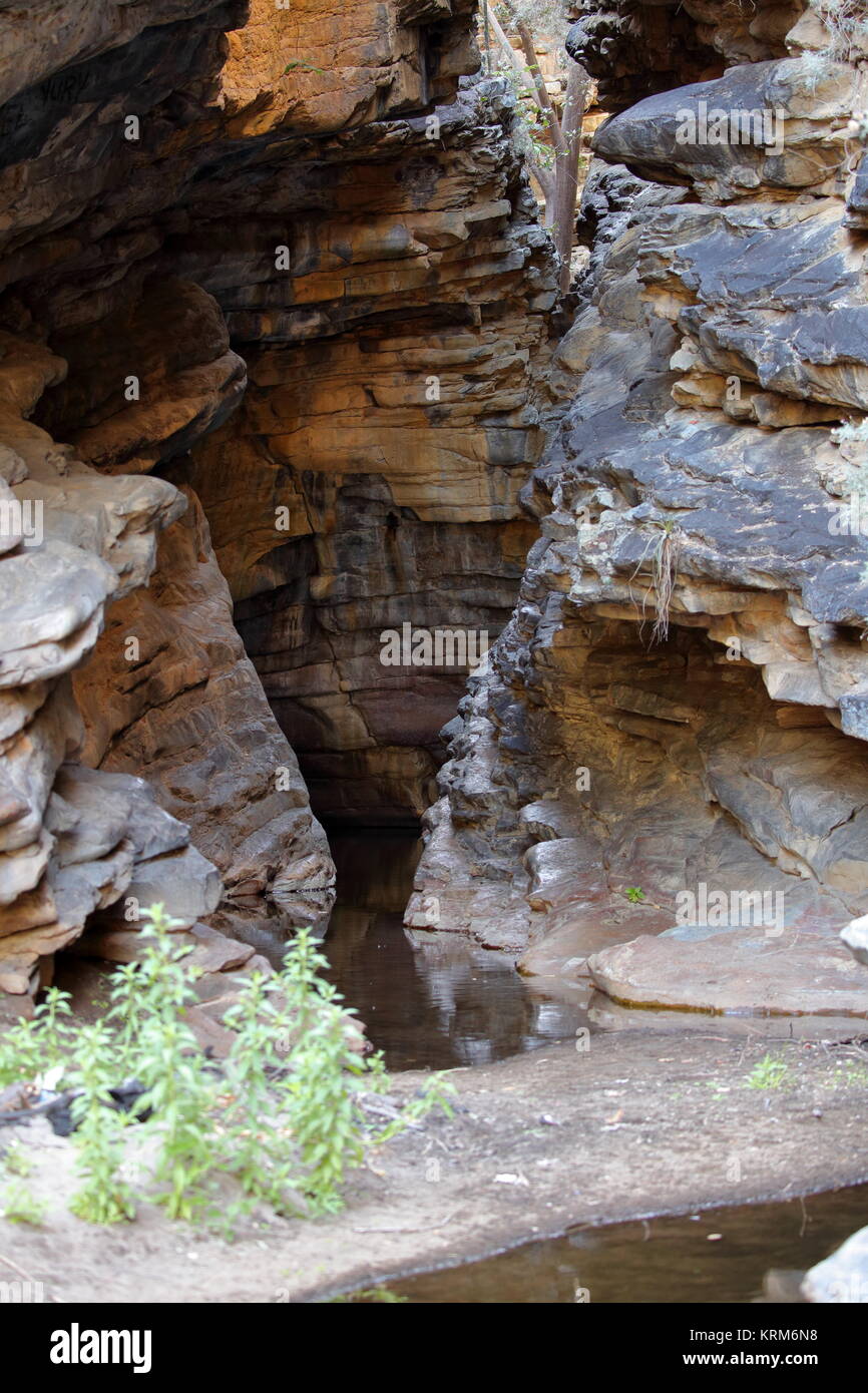 deep ravine in the caatinga countryside of brazil Stock Photo - Alamy