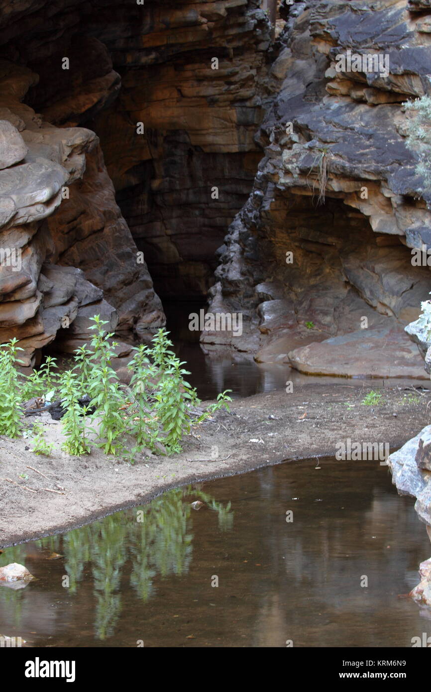 deep ravine in the caatinga countryside of brazil Stock Photo - Alamy
