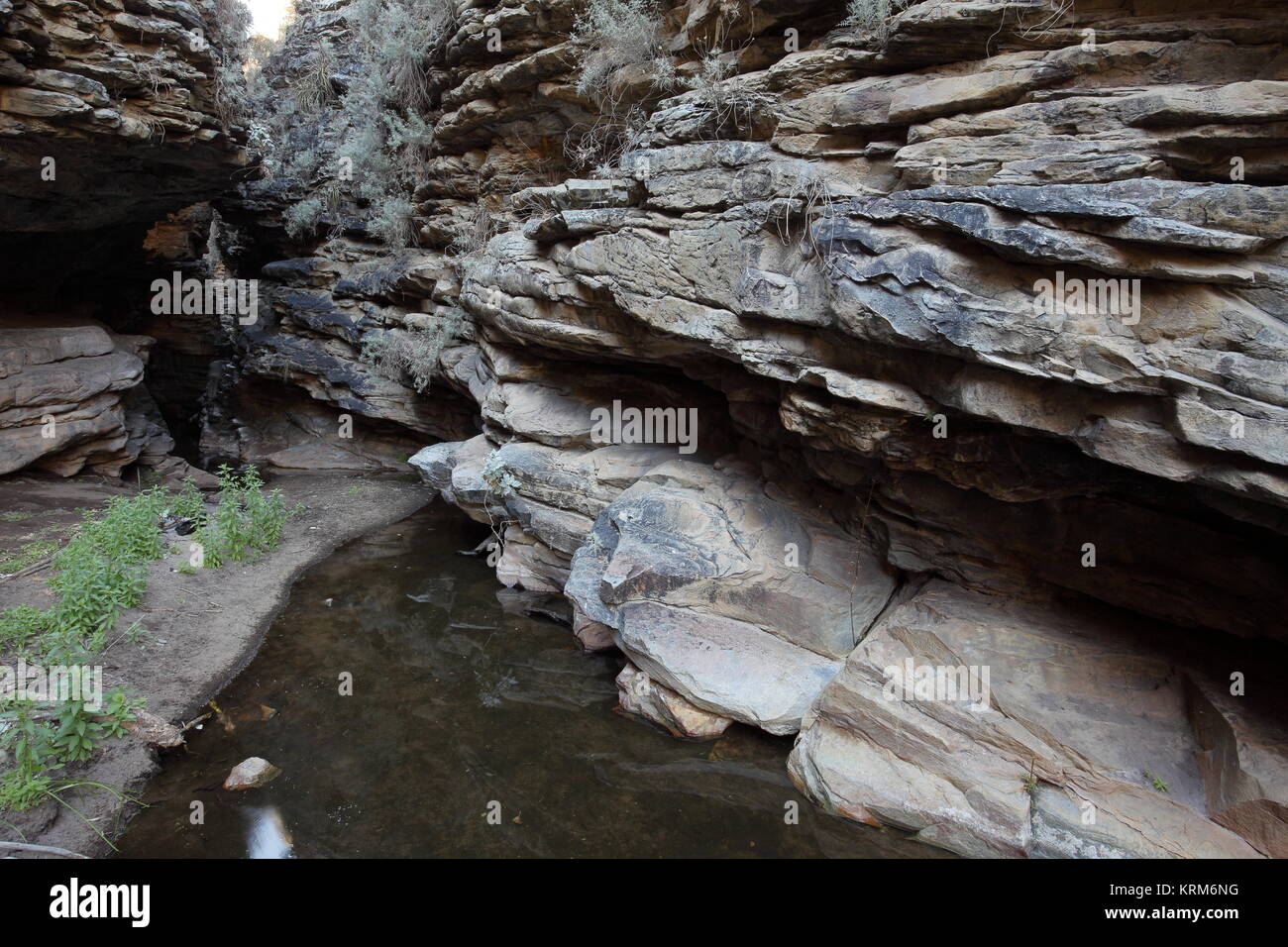 deep ravine in the caatinga countryside of brazil Stock Photo - Alamy