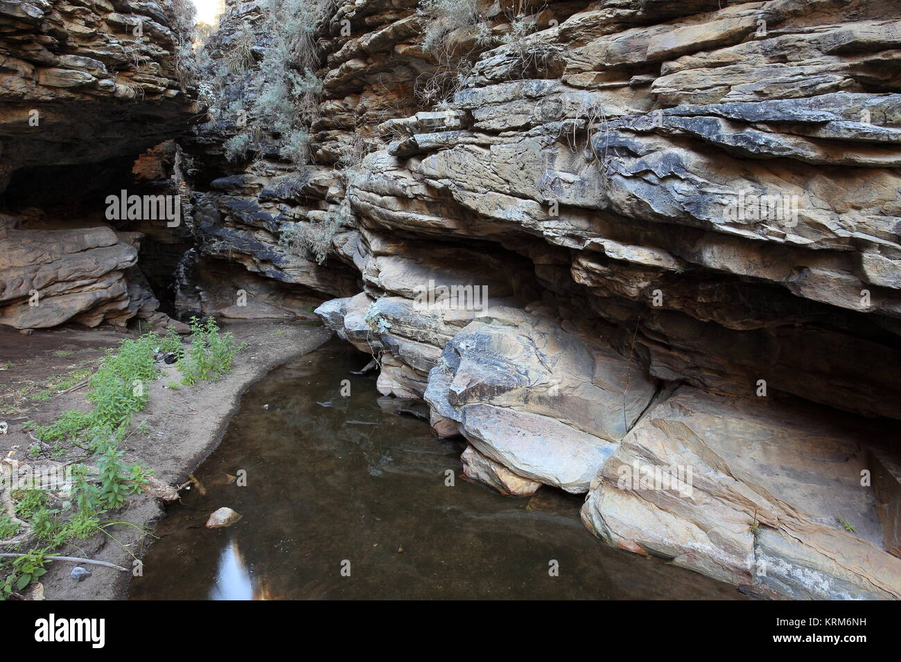 deep ravine in the caatinga countryside of brazil Stock Photo - Alamy