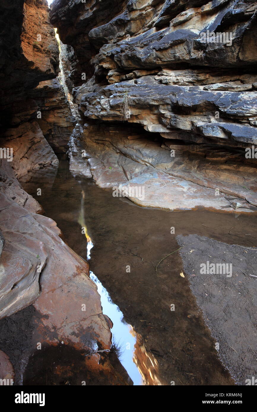 deep ravine in the caatinga countryside of brazil Stock Photo - Alamy