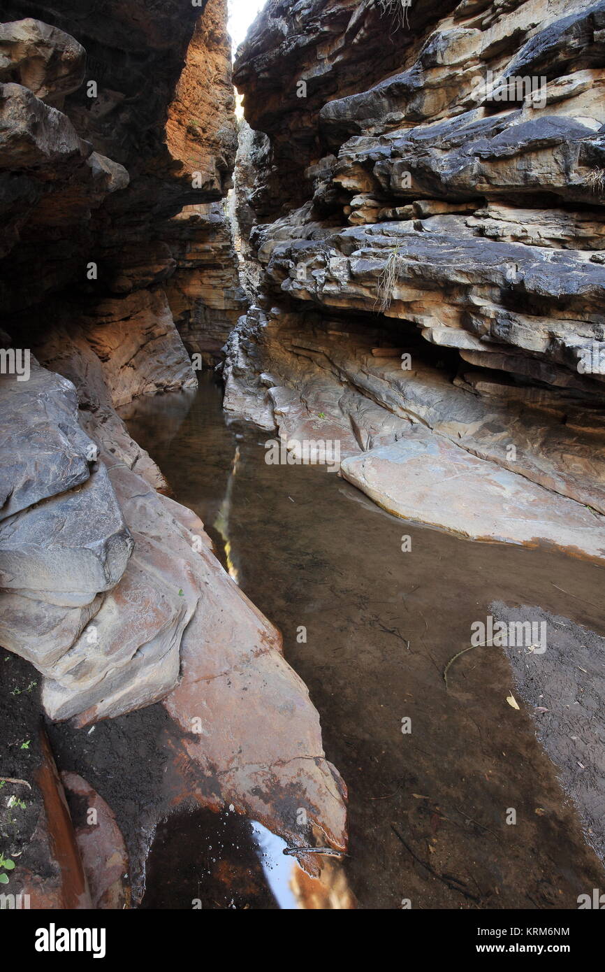 deep ravine in the caatinga countryside of brazil Stock Photo - Alamy