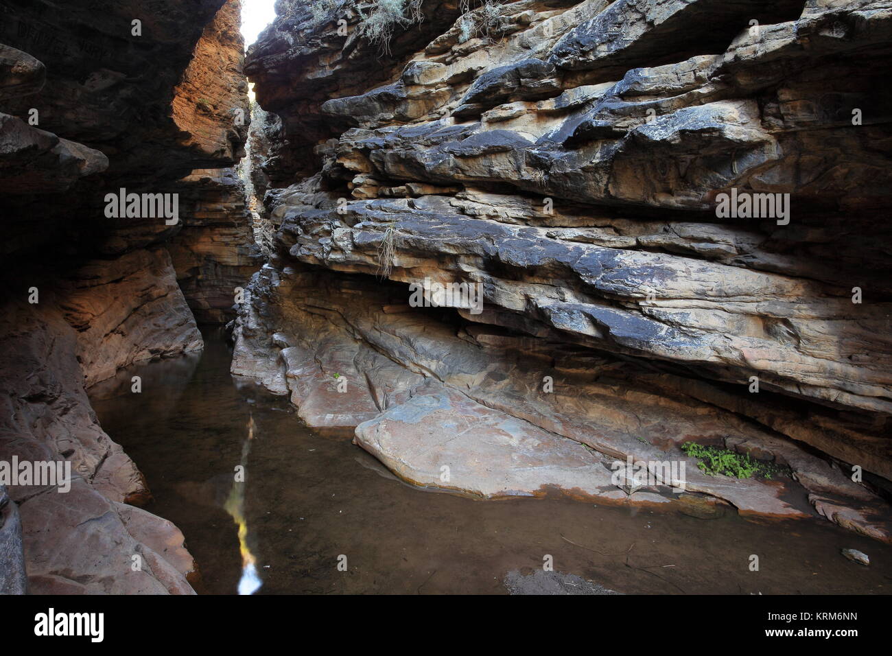deep ravine in the caatinga countryside of brazil Stock Photo - Alamy