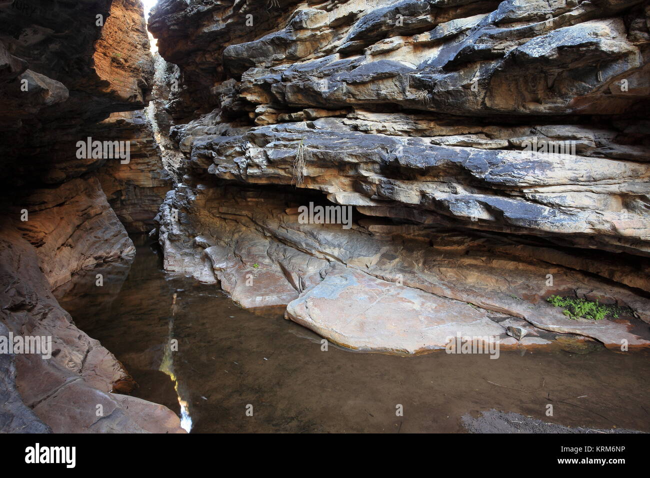 deep ravine in the caatinga countryside of brazil Stock Photo - Alamy