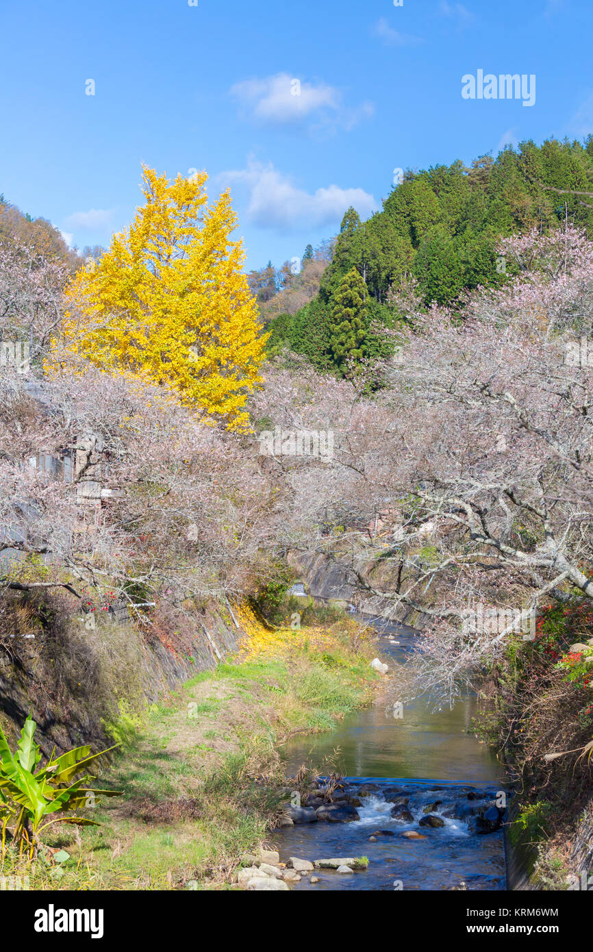 Obara hi-res stock photography and images - Alamy