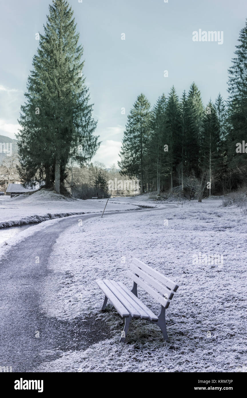 Frozen path and bench Stock Photo - Alamy