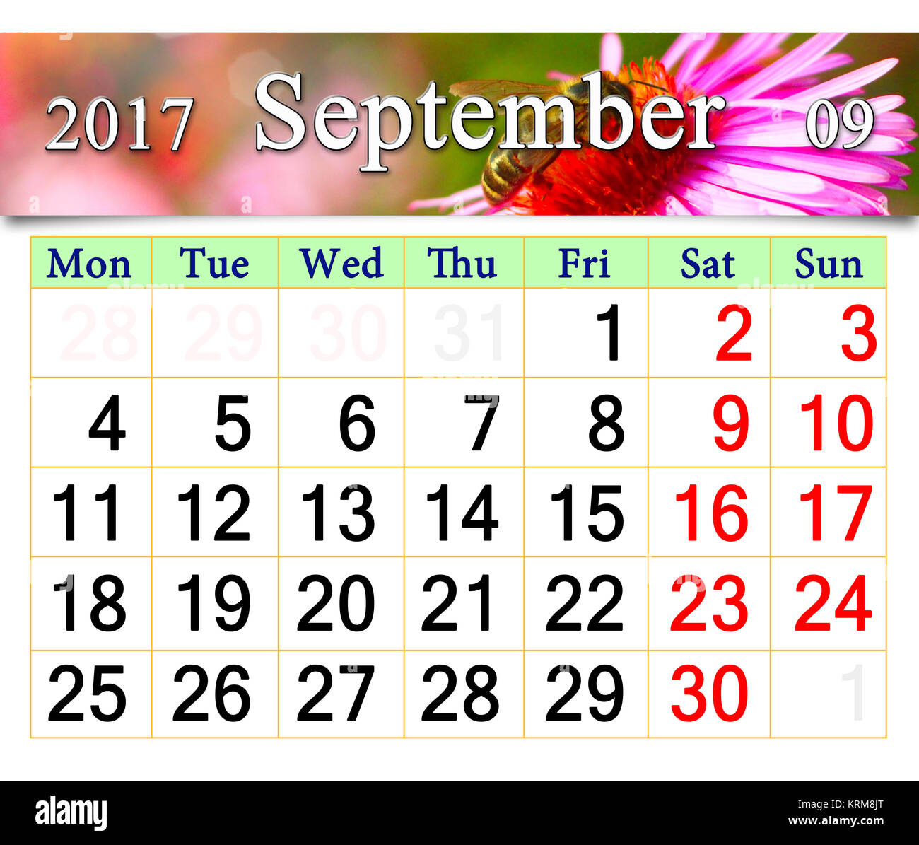 Fall foliage calendar Cut Out Stock Images & Pictures - Alamy