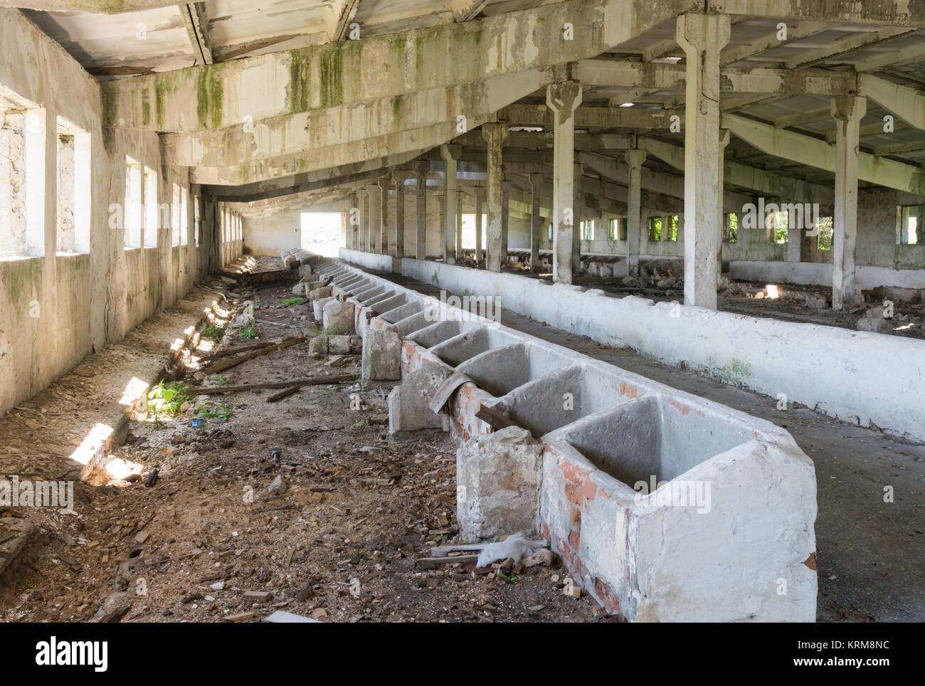 Old abandoned barn, inside view of the building Stock Photo - Alamy
