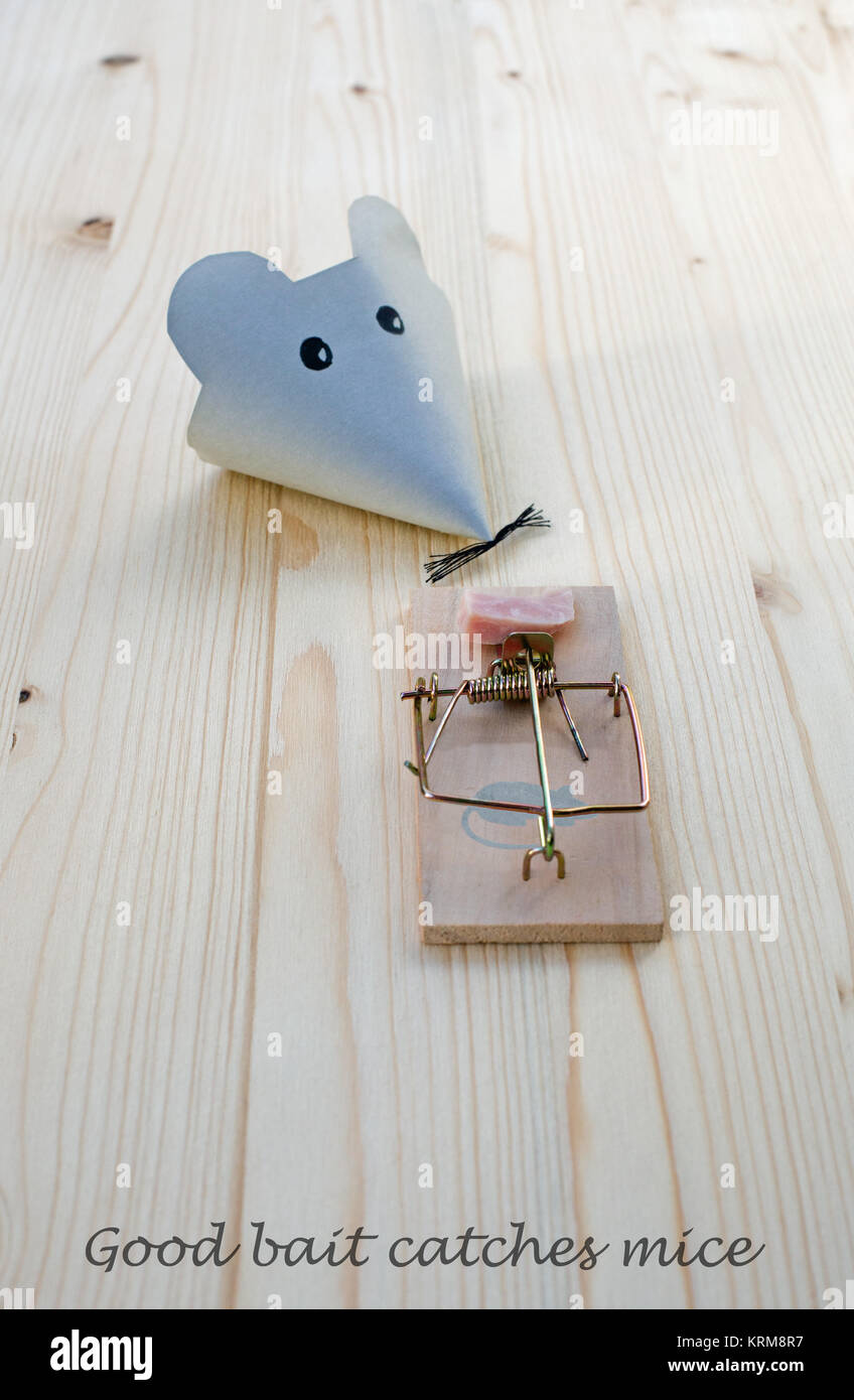 mouse mousetrap with bacon begins to mice Stock Photo - Alamy