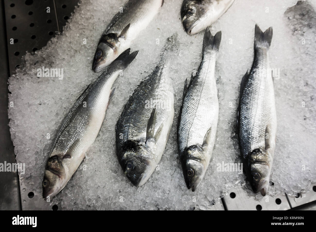 fresh fish on ice Stock Photo - Alamy