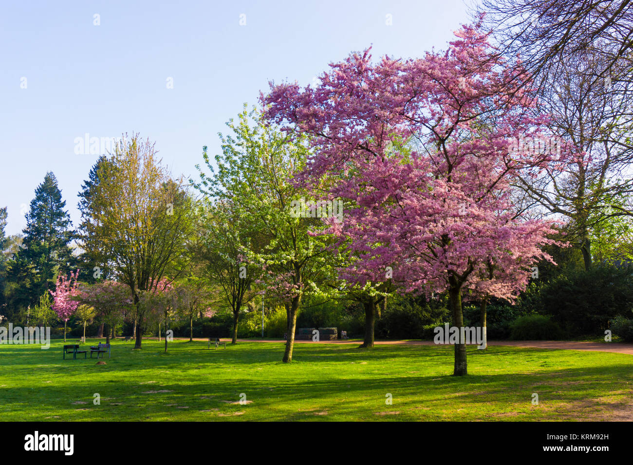 Beautiful park. Beautiful landscape. Garden Stock Photo - Alamy