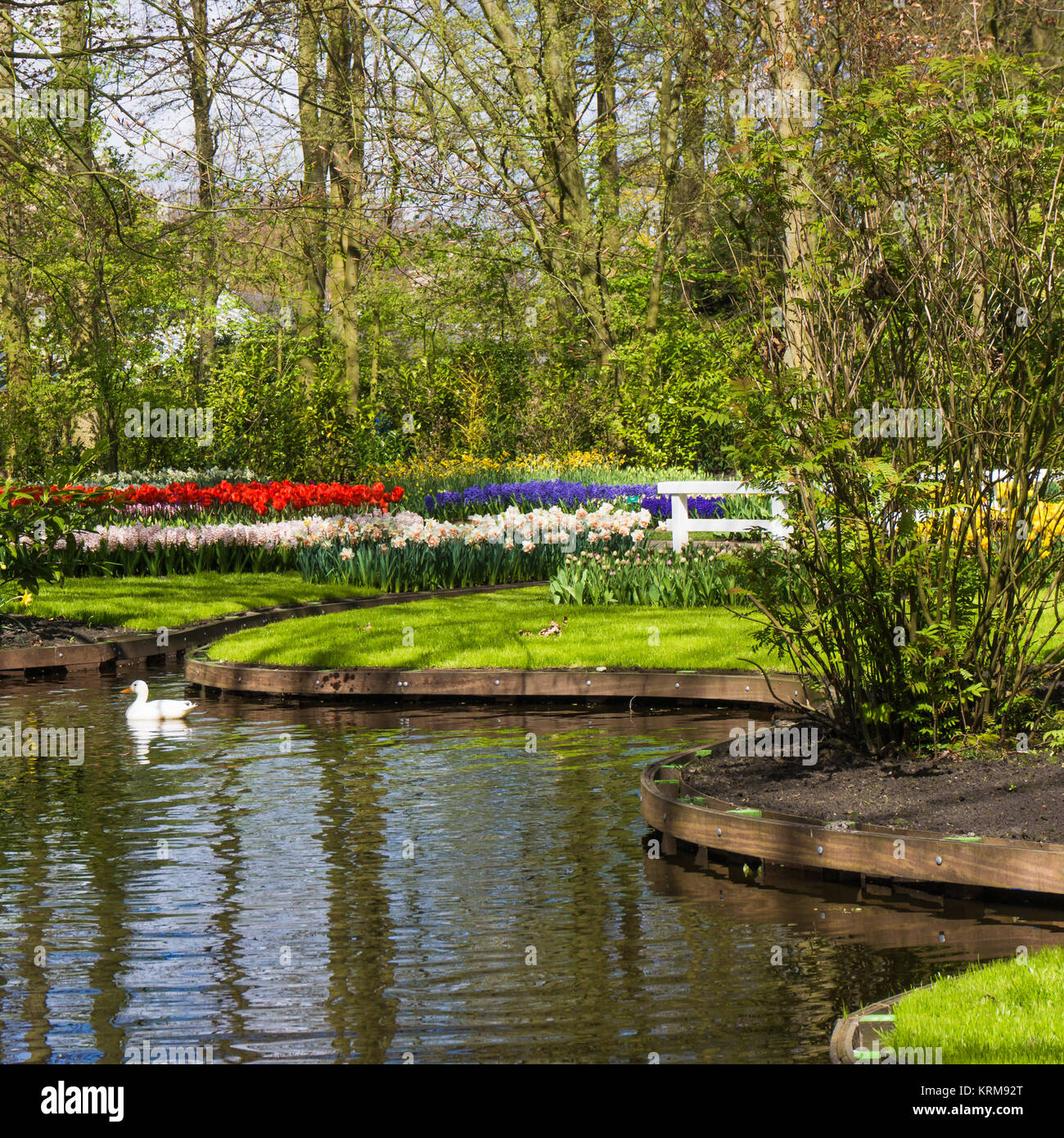 beautiful garden. Park Stock Photo - Alamy