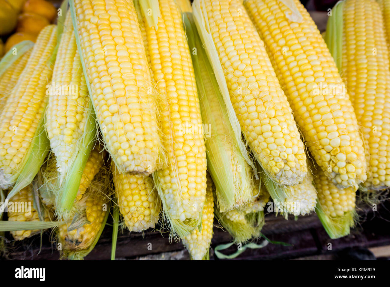 fresh corn. Corn for sale at farmers market Stock Photo - Alamy
