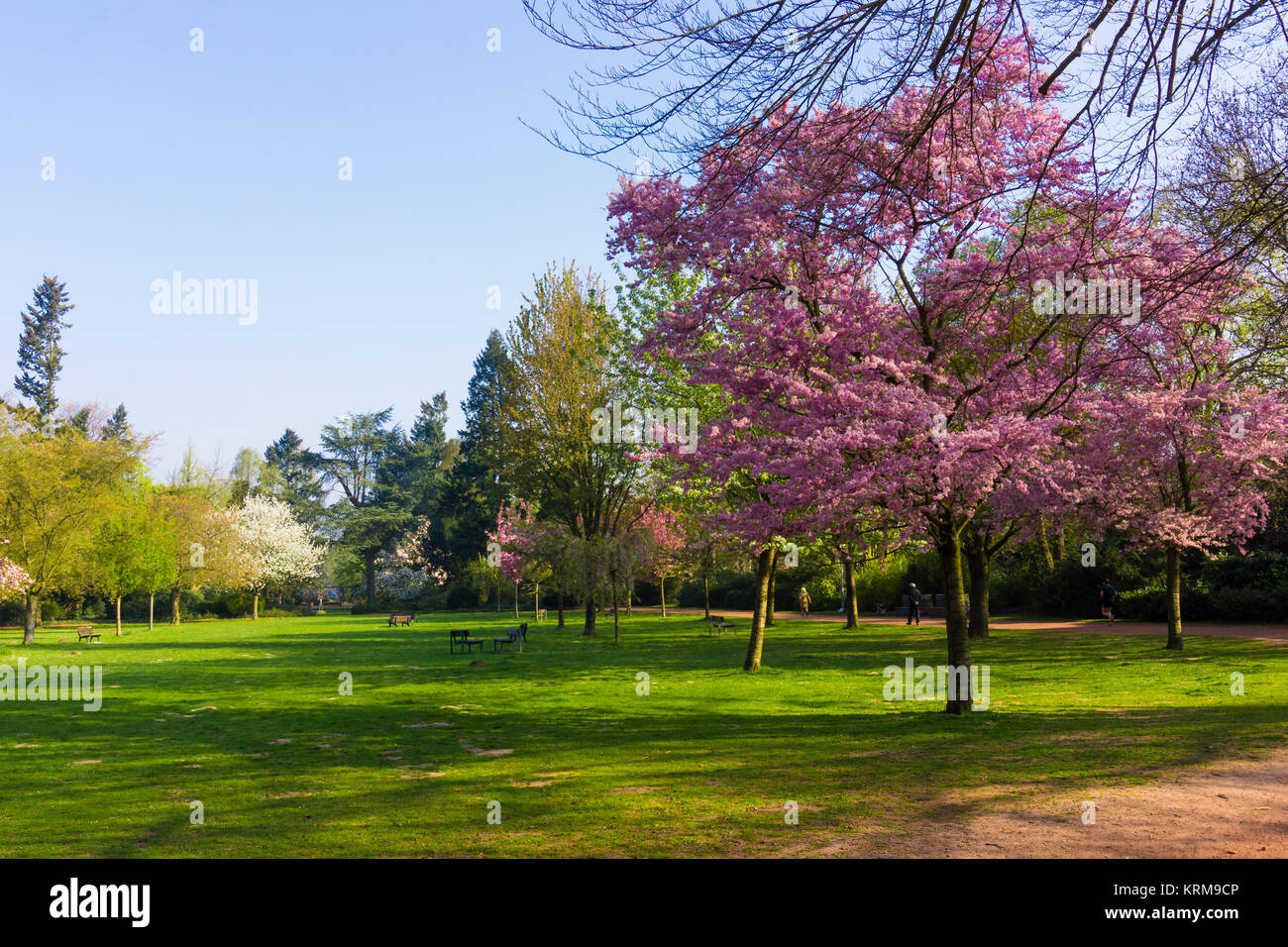 Beautiful park. Beautiful landscape. Garden Stock Photo - Alamy