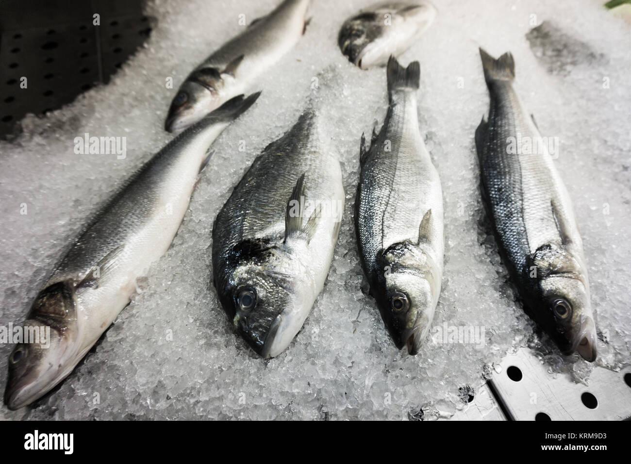 fresh fish on ice Stock Photo - Alamy