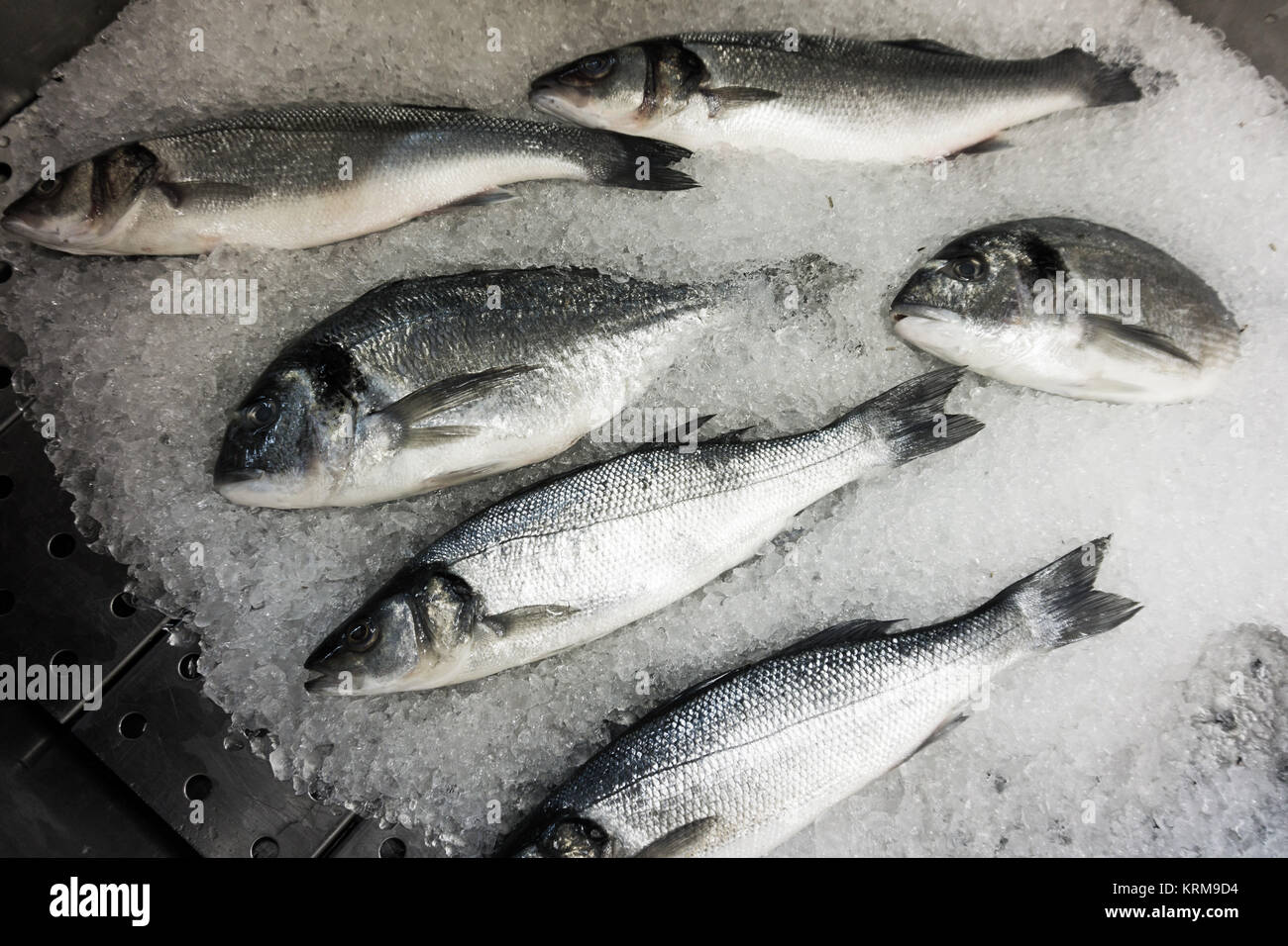 fresh fish on ice Stock Photo - Alamy
