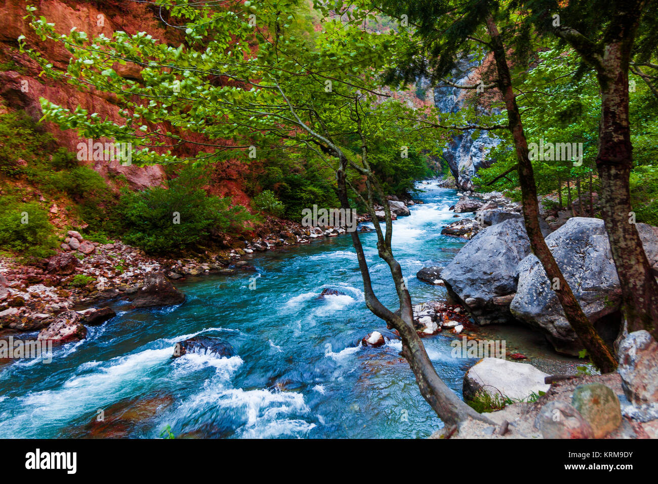 beauty nature scenery landscape background. Nature composition ...