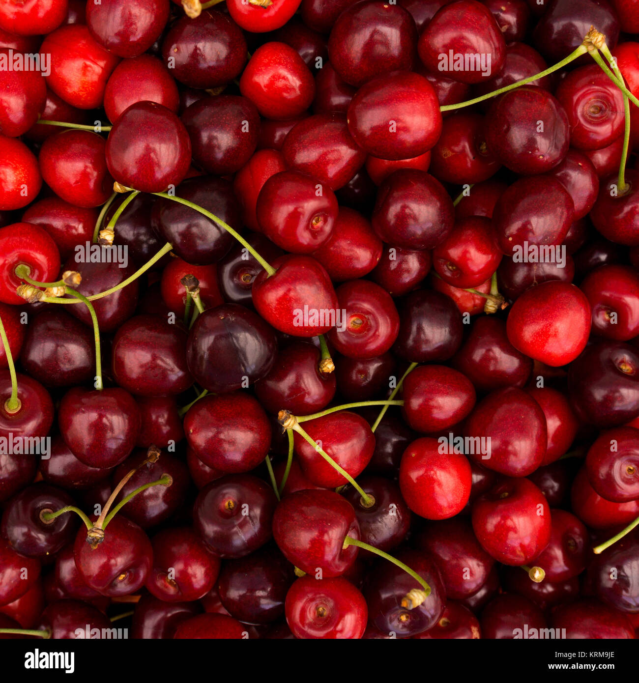 red cherry background. Red ripe delicious cherries Stock Photo - Alamy