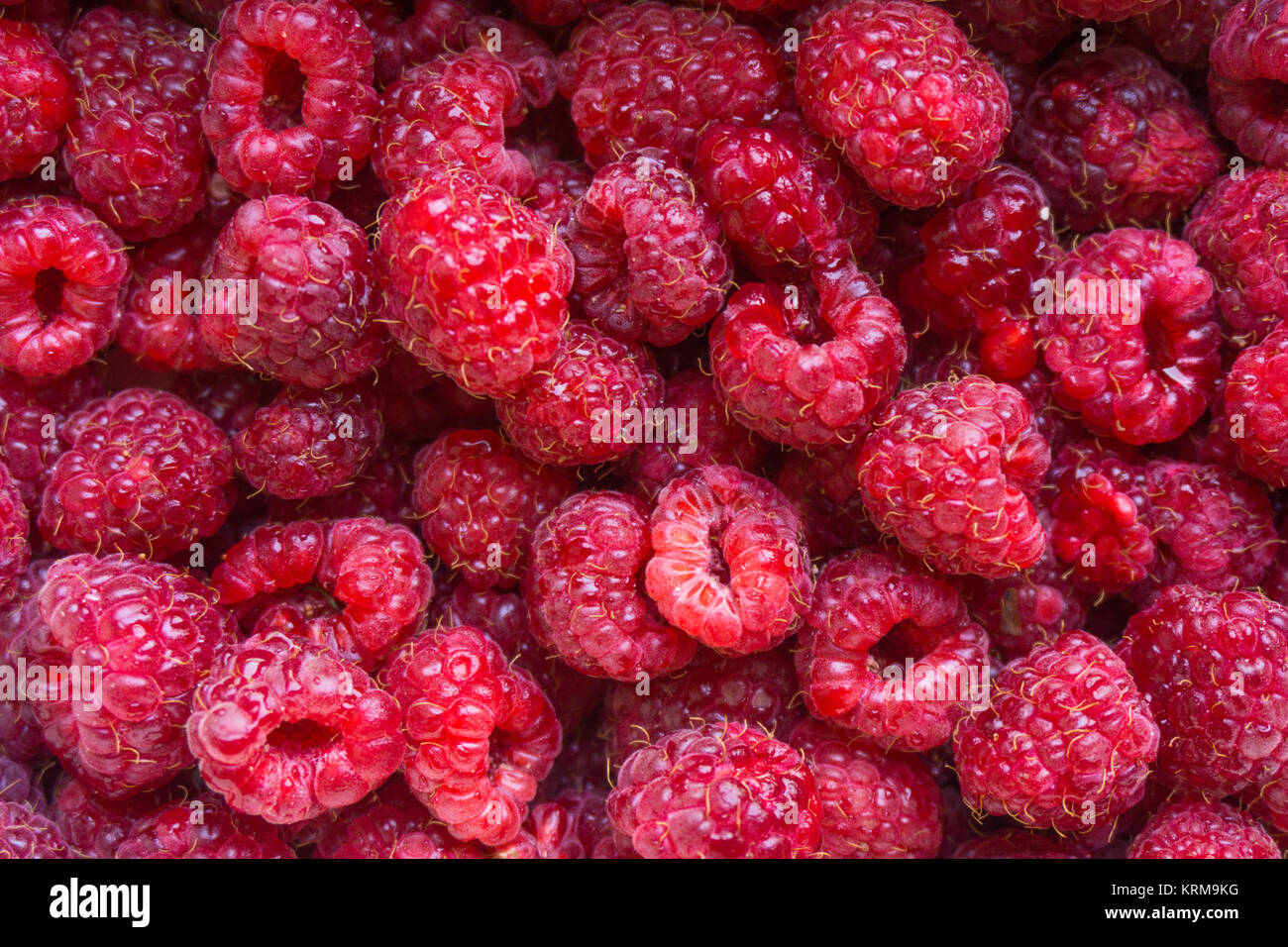 Fresh raspberries background Stock Photo - Alamy