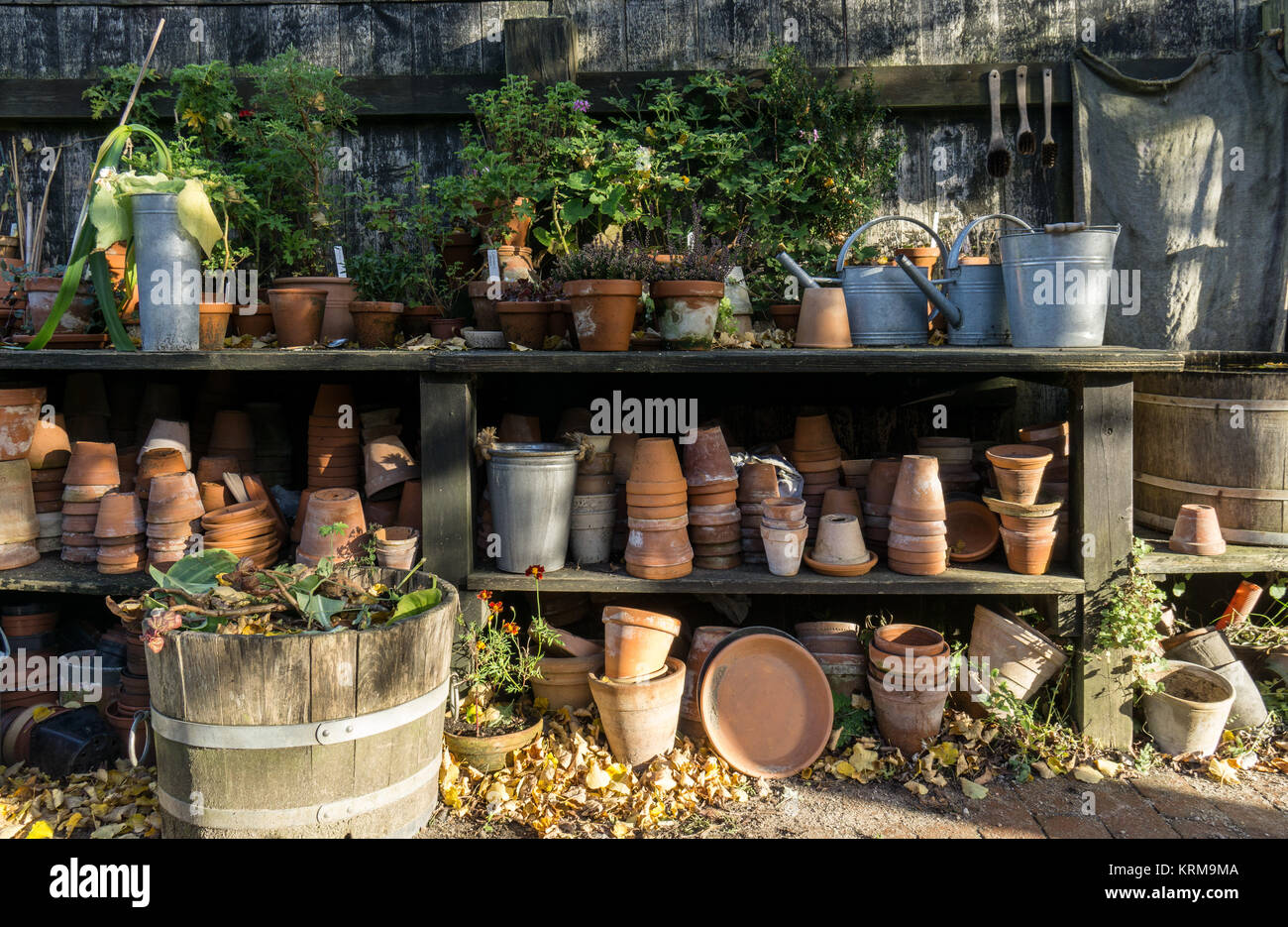 romantic idyllic plant table in the garden with old retro flower pot ...