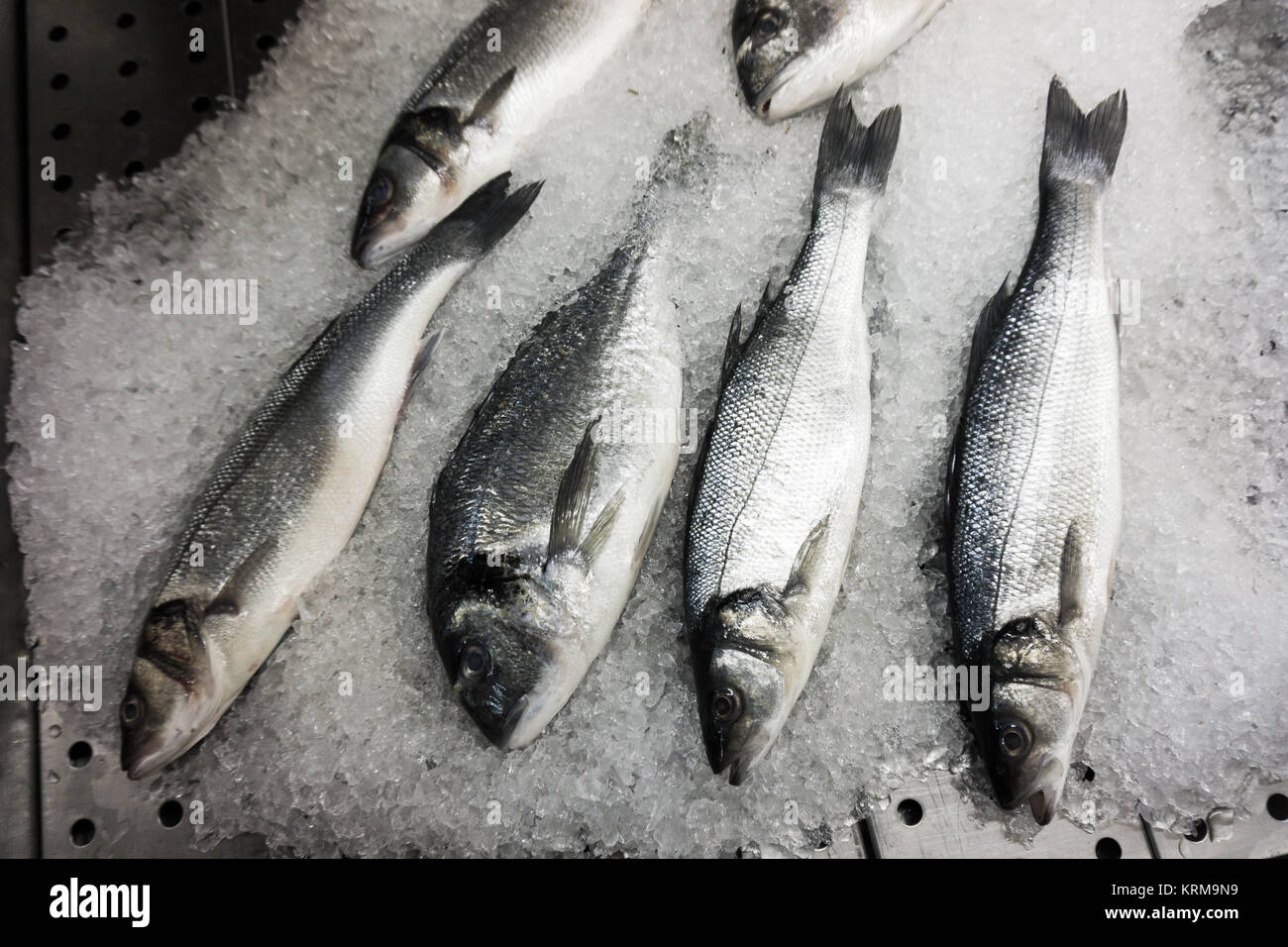 fresh fish on ice Stock Photo - Alamy