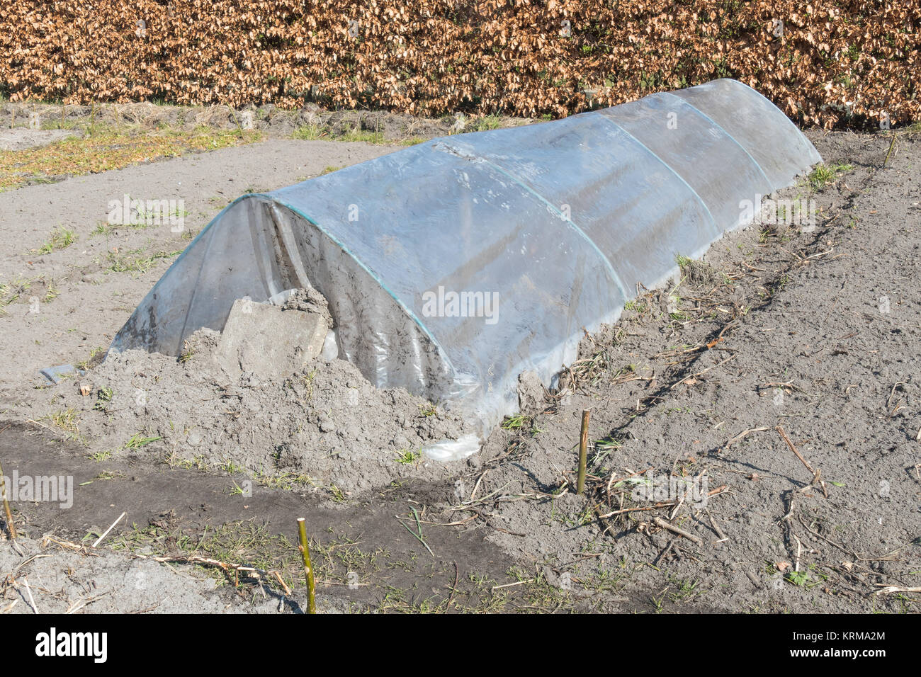 Plastic Tunnel Stock Photos & Plastic Tunnel Stock Images - Alamy