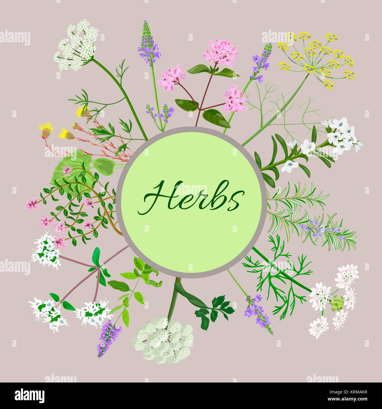 Vector card with herbal flowers Stock Photo - Alamy