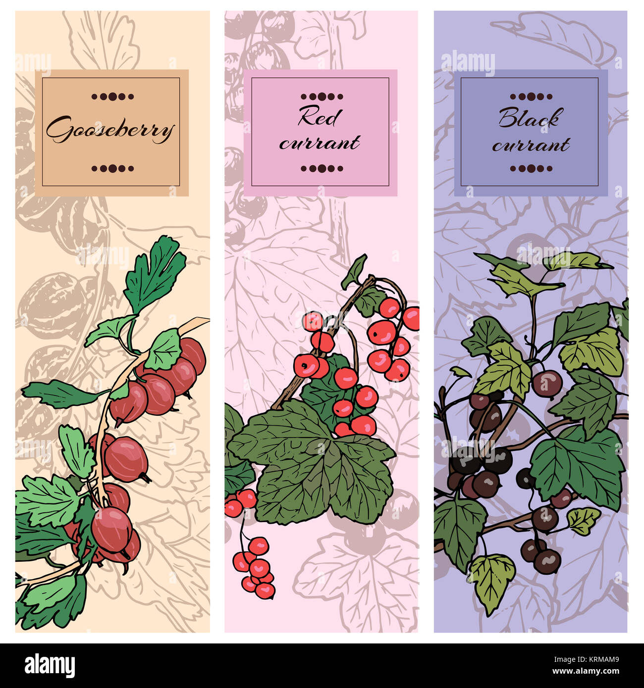 Set of berries Stock Photo - Alamy