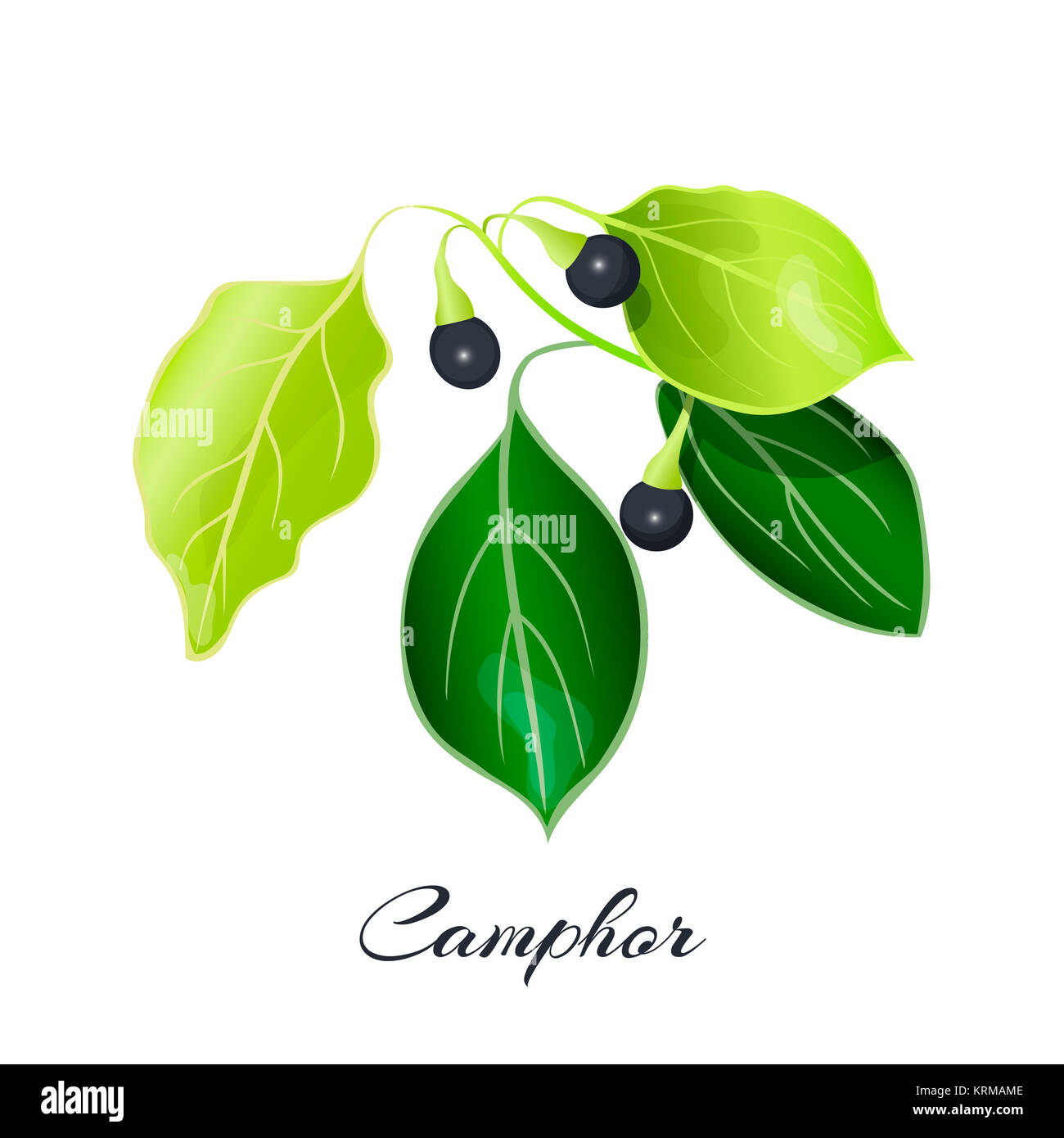 Shablon Cut Out Stock Images & Pictures - Alamy