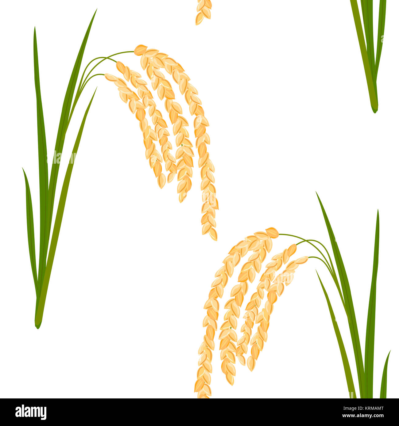 rice seamless pattern Stock Photo - Alamy