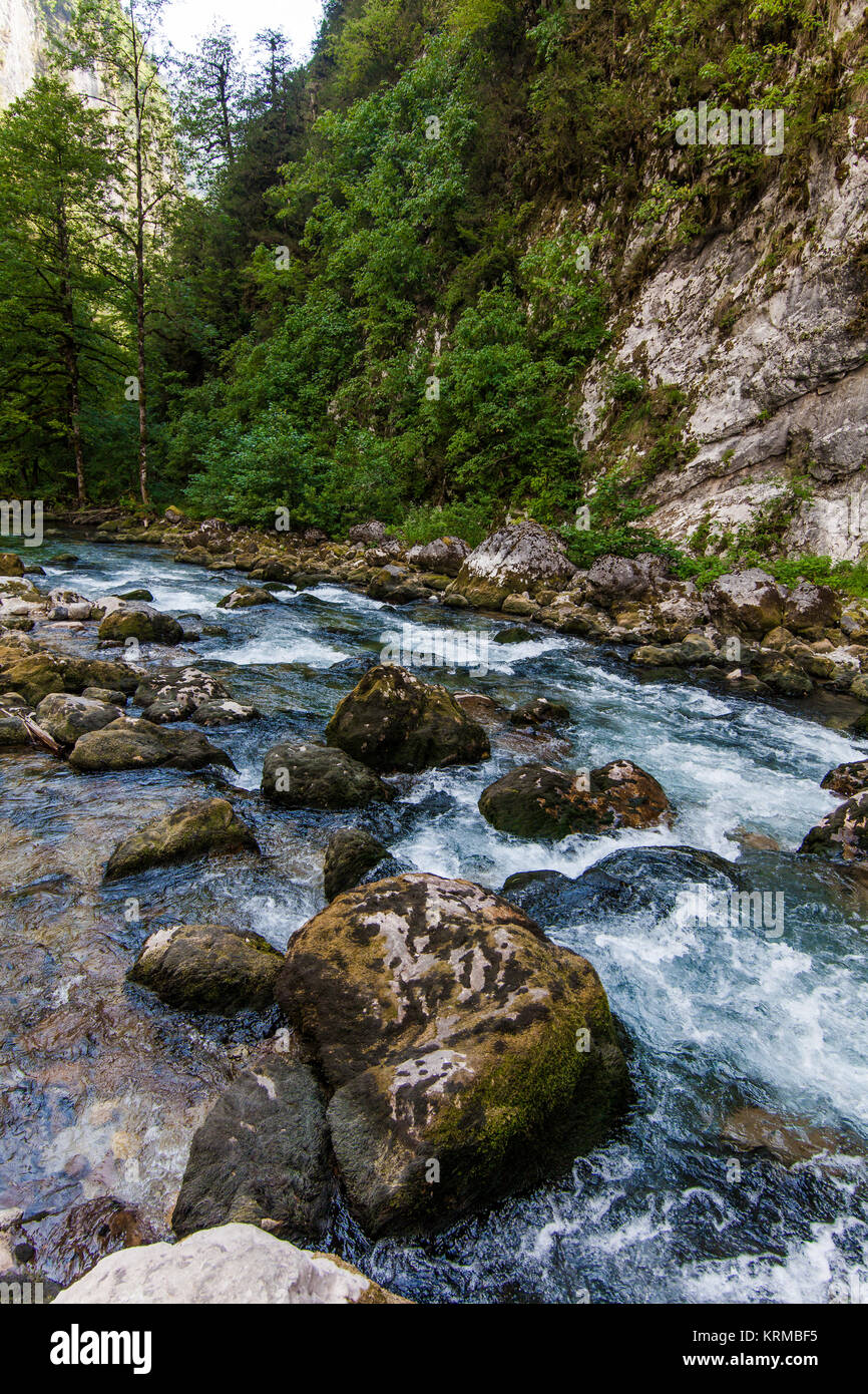 mountain river. Nature composition. landscape with mountains trees and ...