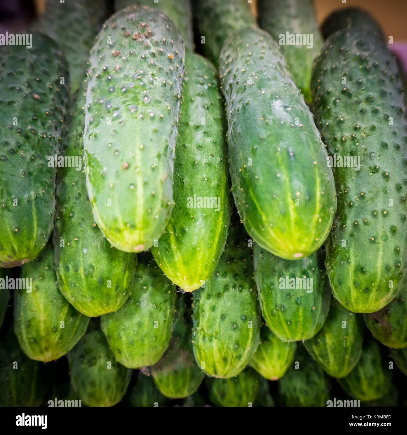 Pile of fresh green cucumbers Stock Photo - Alamy