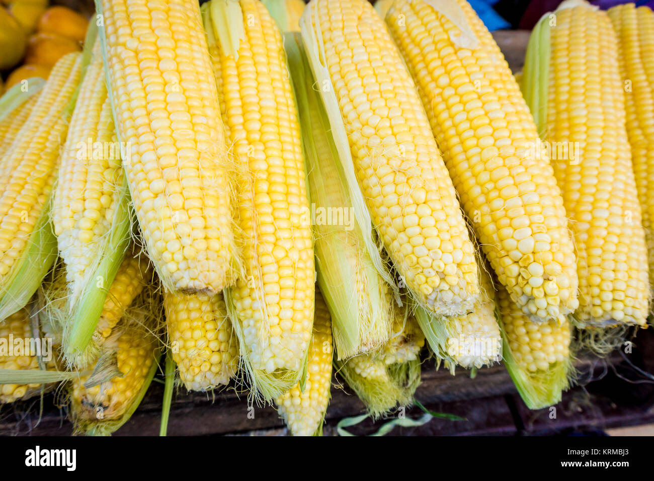 fresh corn. Corn for sale at farmers market Stock Photo - Alamy