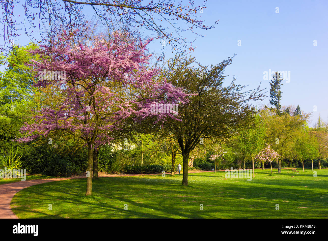 Beautiful park. Beautiful landscape. Garden Stock Photo - Alamy