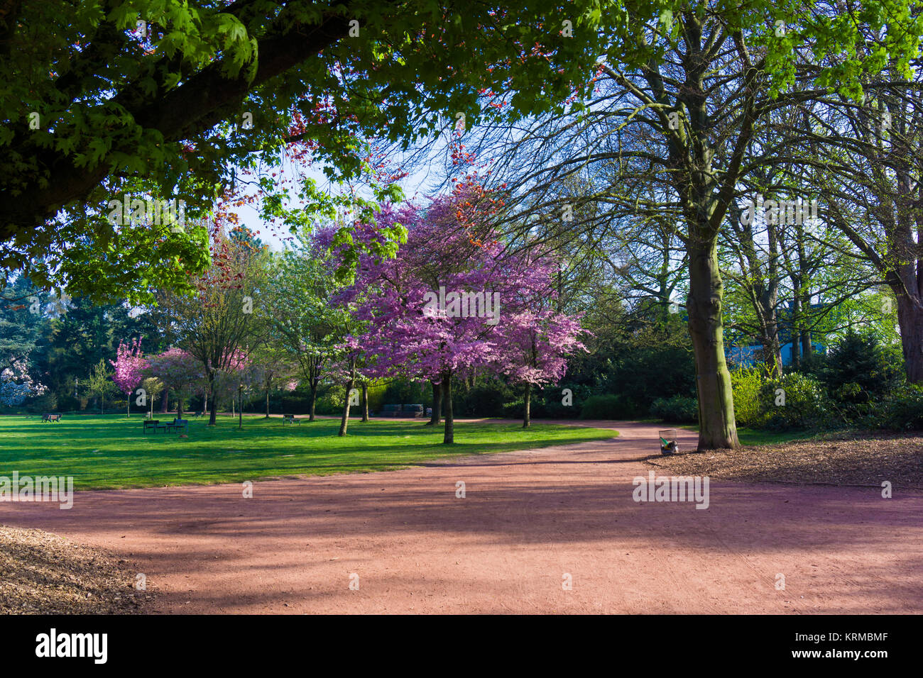 Beautiful park. Beautiful landscape. Garden Stock Photo - Alamy