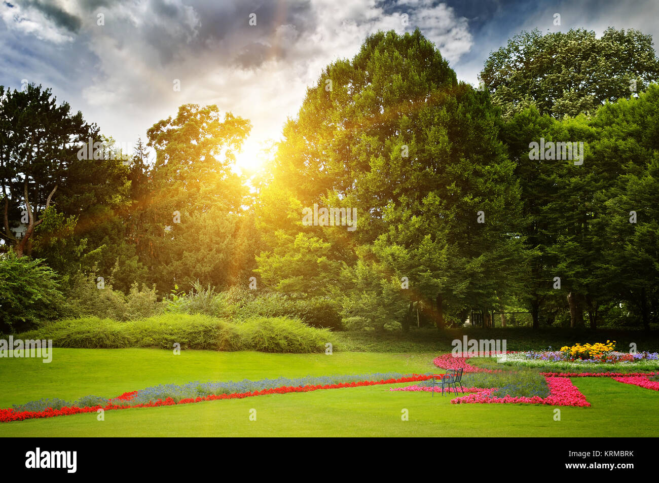 beautiful summer park and sunset Stock Photo - Alamy