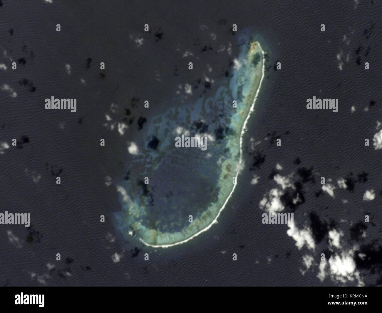 Roncador hi-res stock photography and images - Alamy