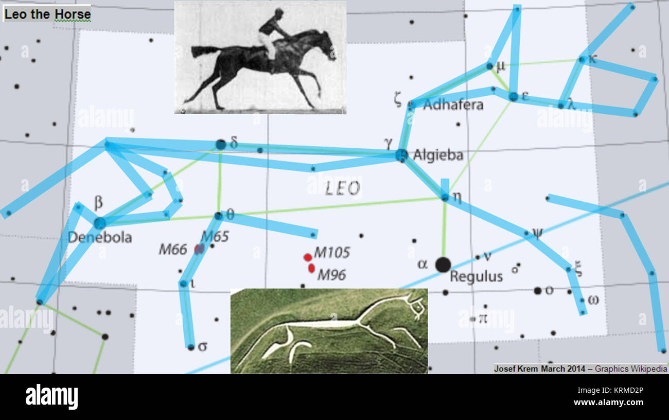 Leo the Horse 1402 Stock Photo - Alamy