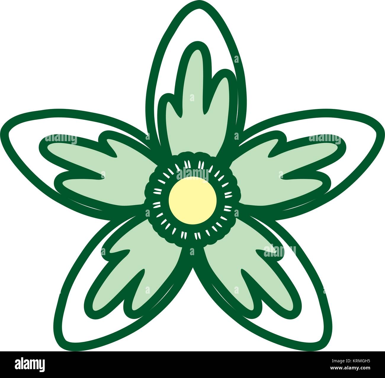 flower green vector illustration Stock Vector Image & Art - Alamy