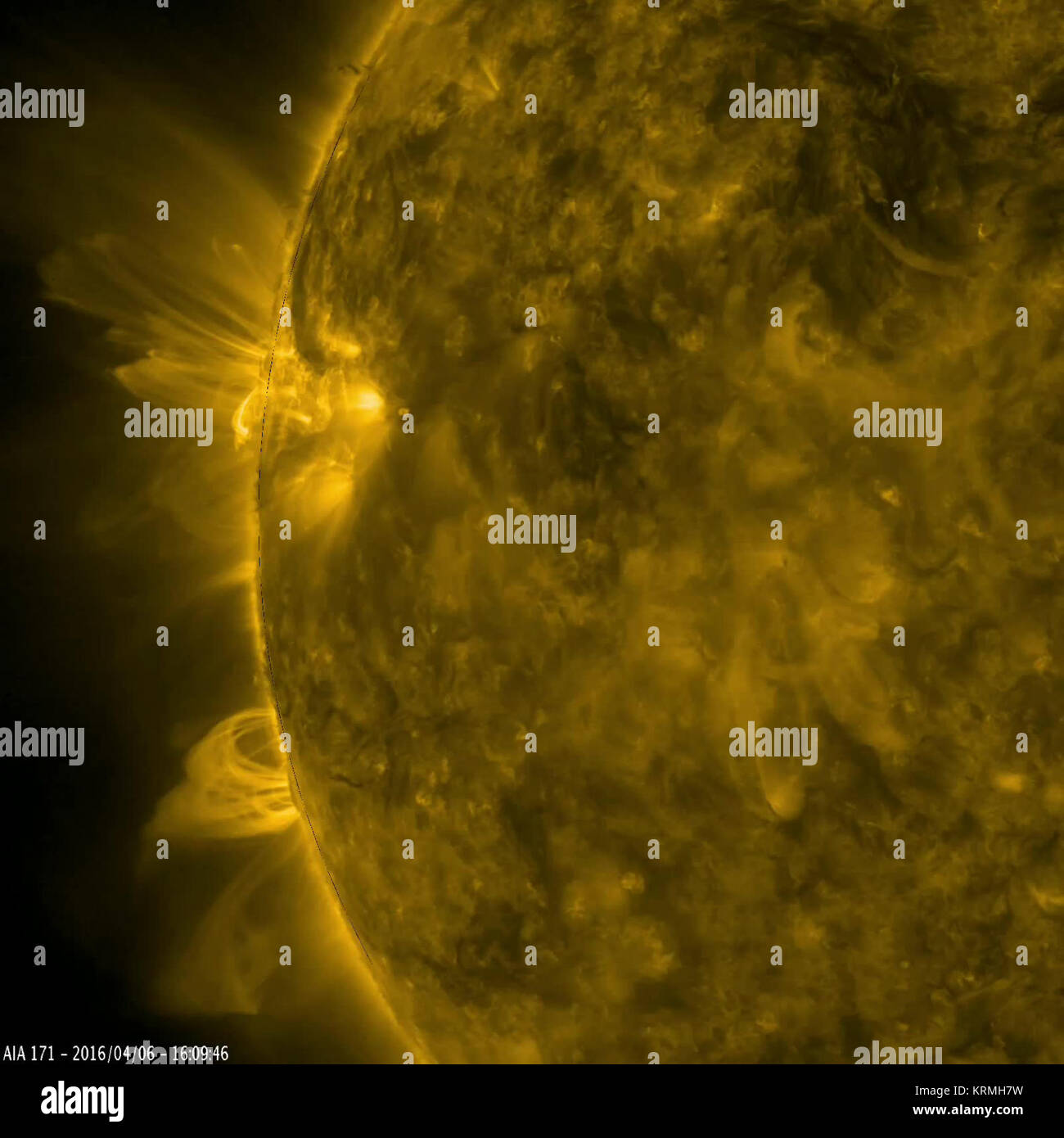 Towering Magnetic Arches Seen by NASA's SDO (26353410152 Stock Photo ...