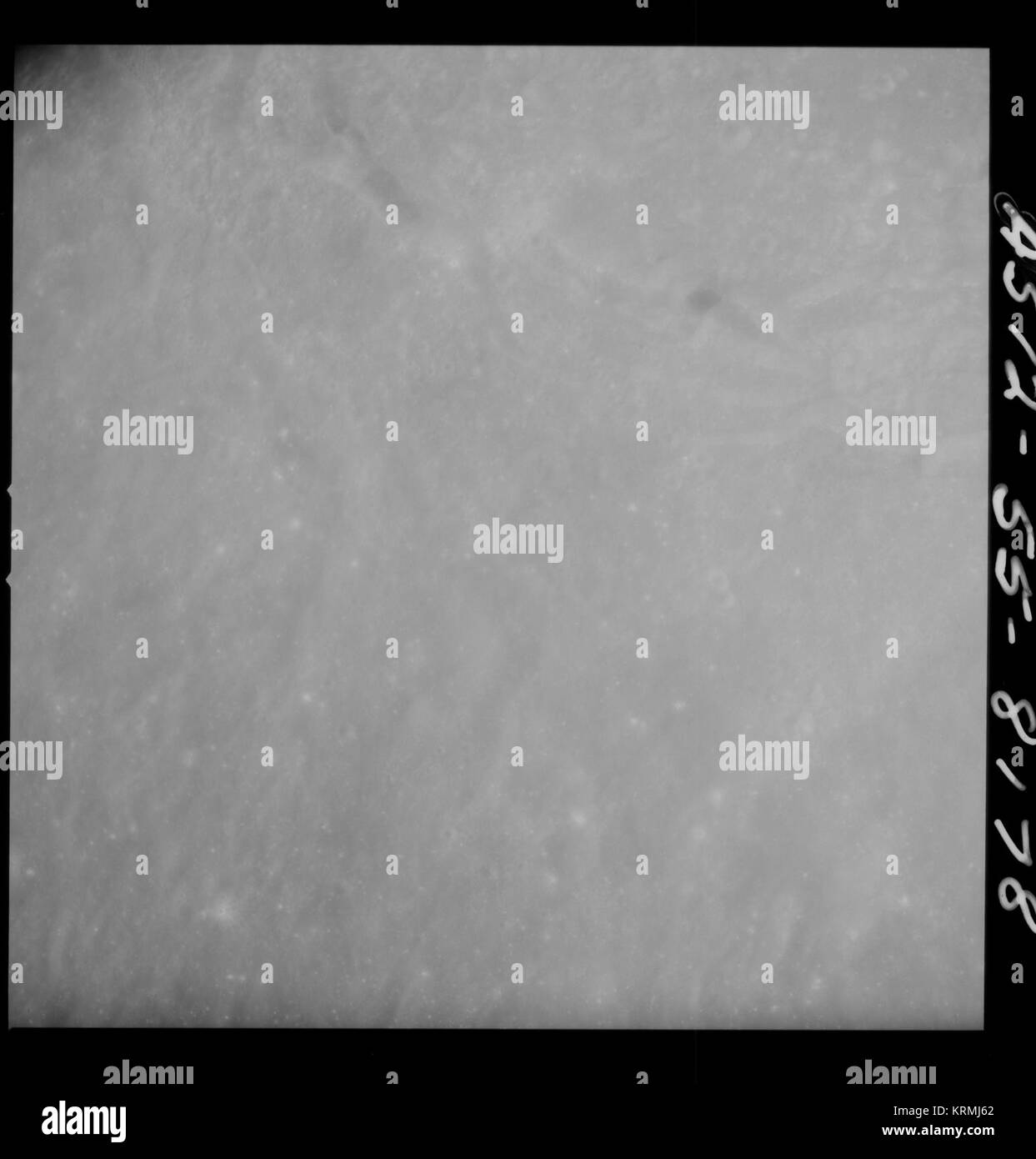 8178 Black and White Stock Photos & Images - Alamy