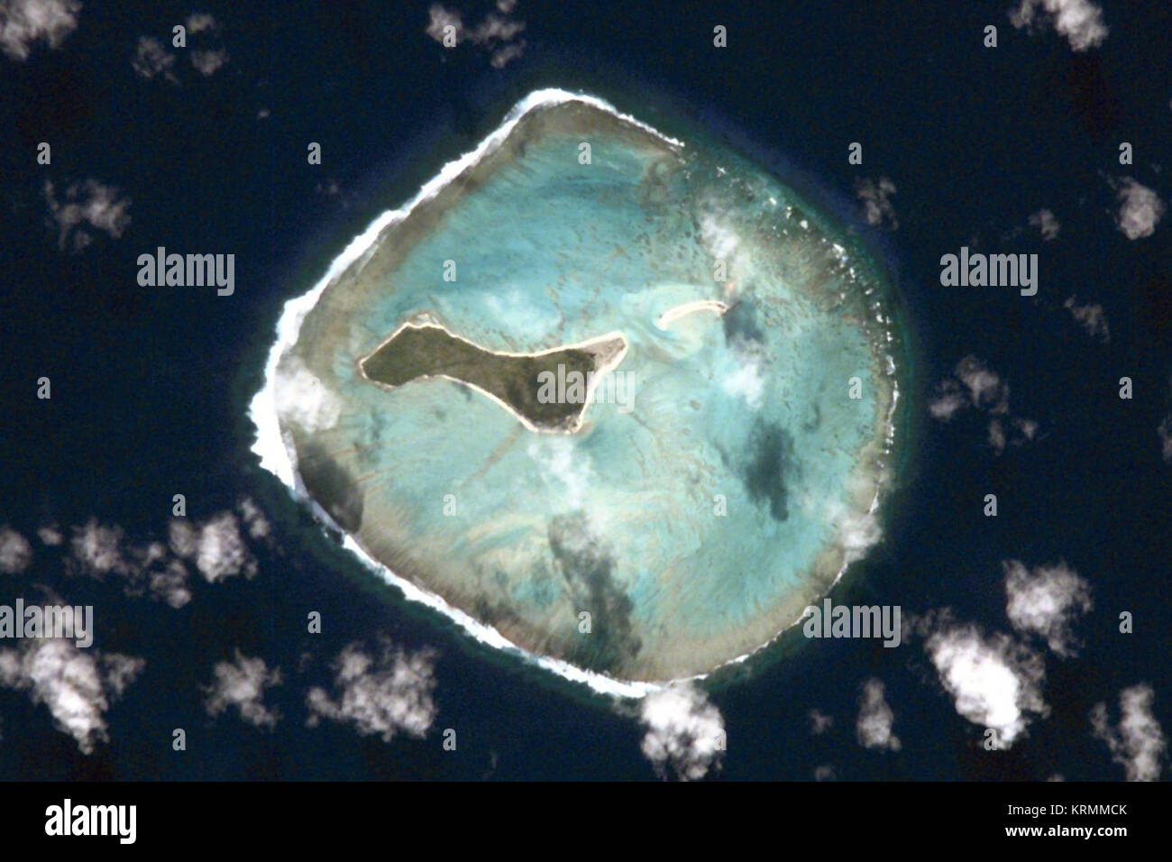 Oeno hi-res stock photography and images - Alamy