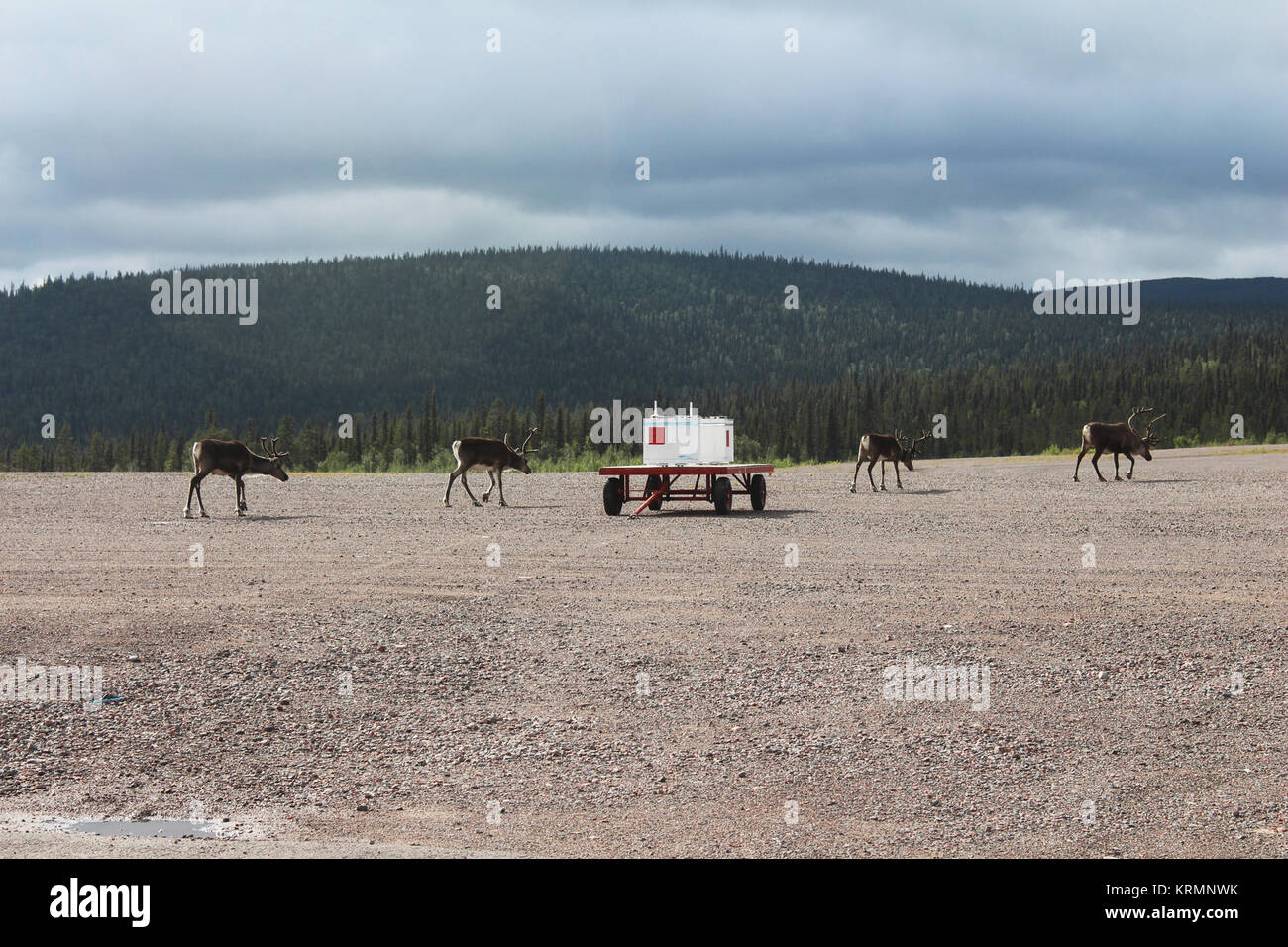 NASA's BARREL Mission in Sweden (28426515974 Stock Photo - Alamy