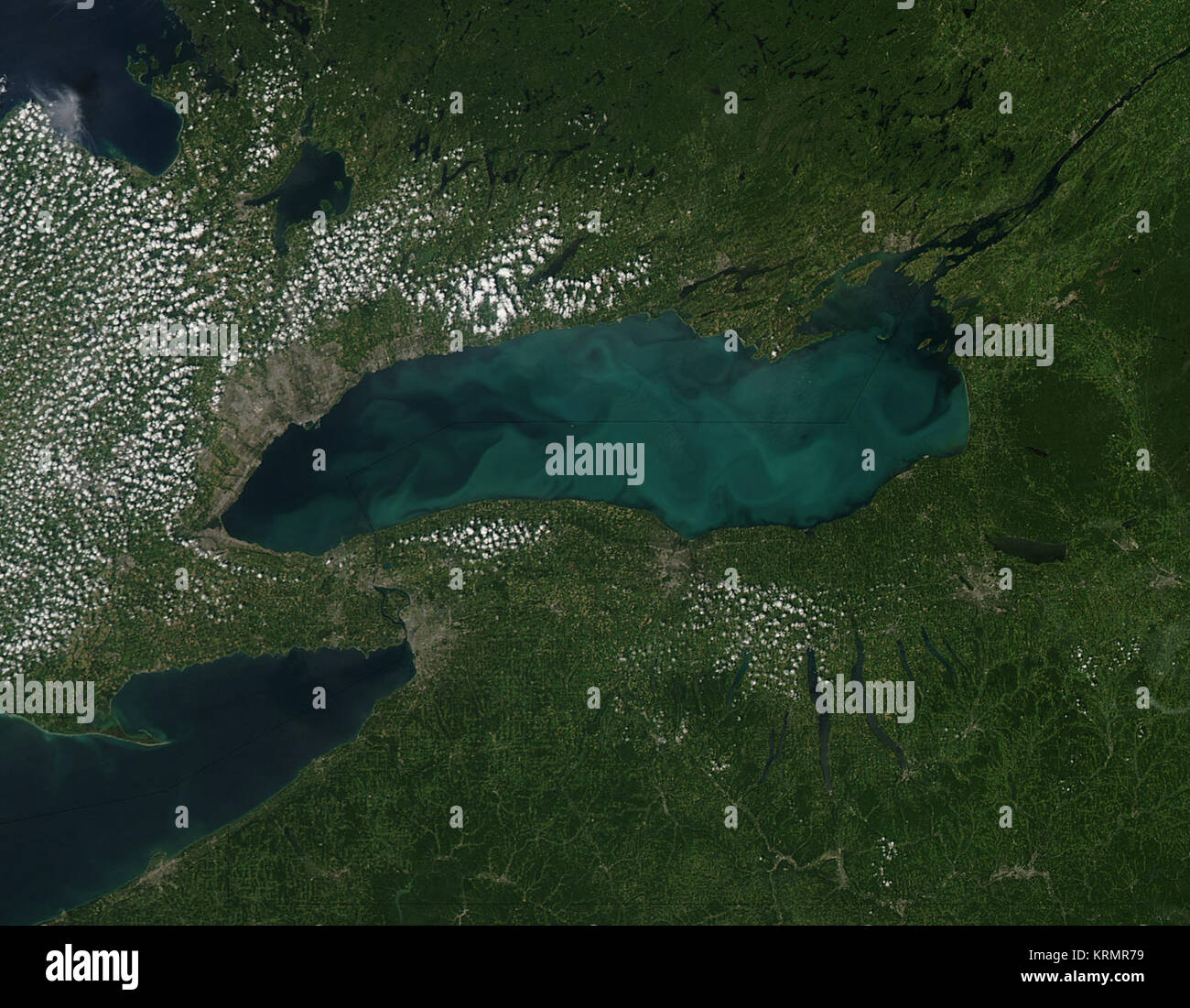 Algal bloom green ocean hi-res stock photography and images - Alamy