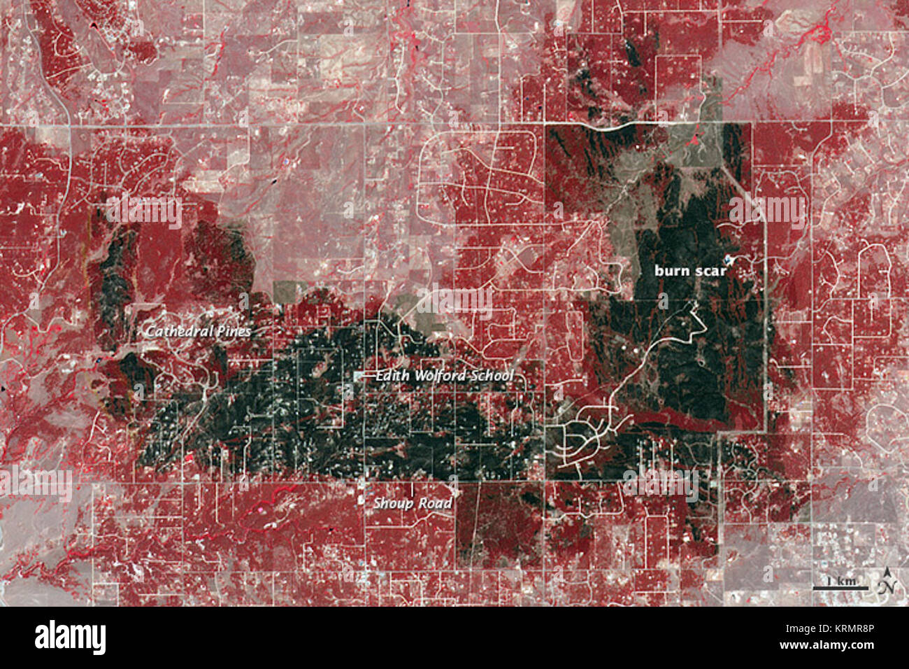 Aftermath of Colorado's Most Destructive Wildfire 28915231781729 Stock ...