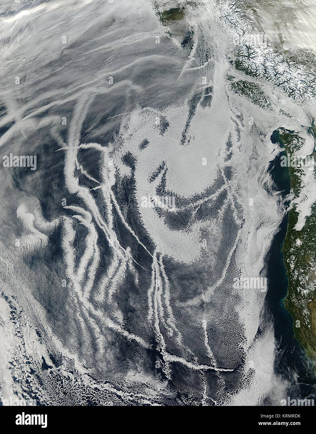 Ship tracks off the western United States (8389426513 Stock Photo - Alamy
