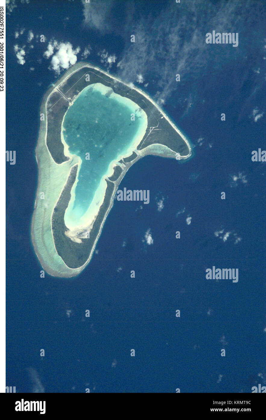 Tupai hi-res stock photography and images - Alamy