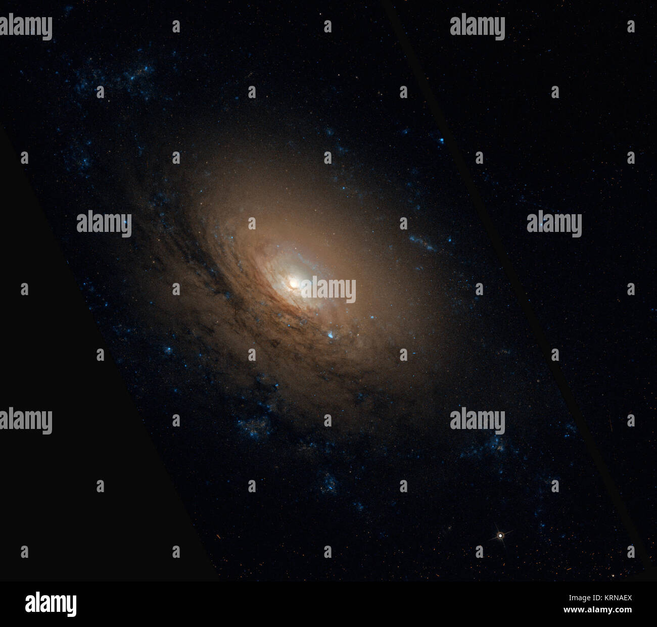 Galaxy NGC 3169 Stock Photo - Alamy