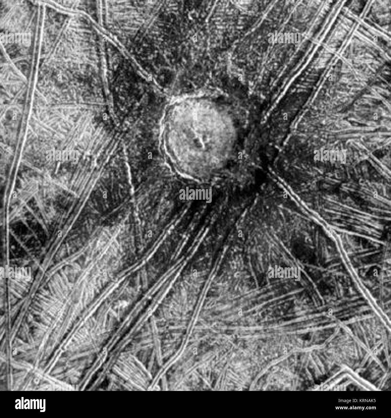 Cilix hi-res stock photography and images - Alamy